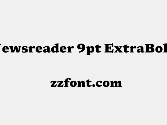 Newsreader 9pt ExtraBold - 众字网