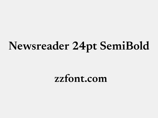 Newsreader 24pt SemiBold - 众字网