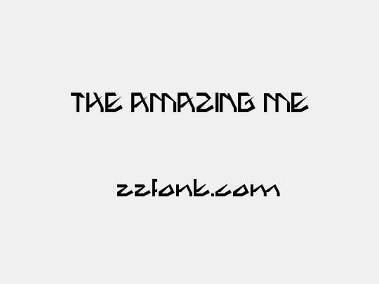 THE AMAZING ME - 众字网