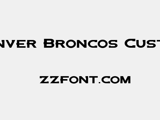 Denver Broncos Custom - 众字网